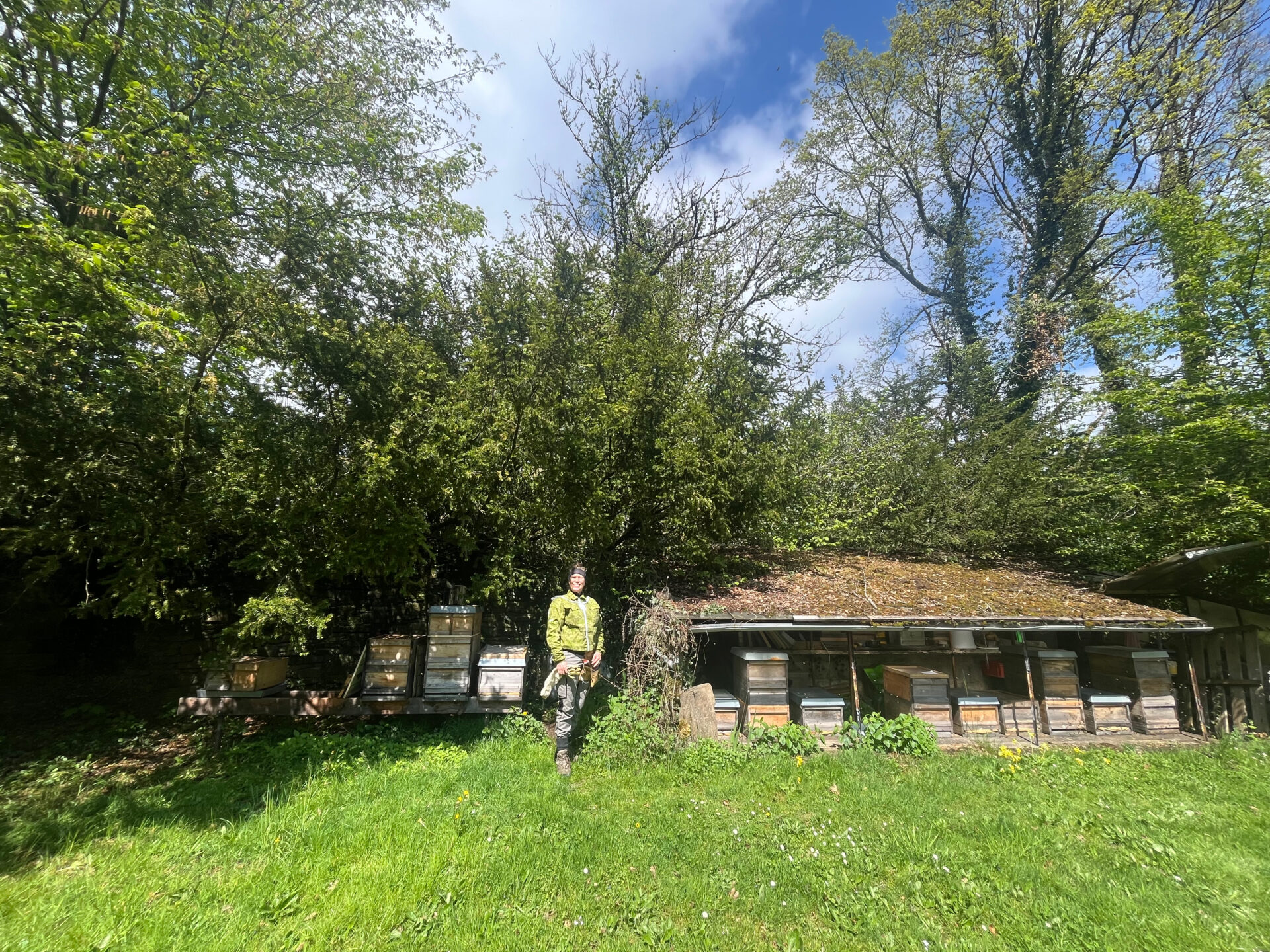 Ich liebe die Bienen und ich liebe Honig - Stephanie Volk